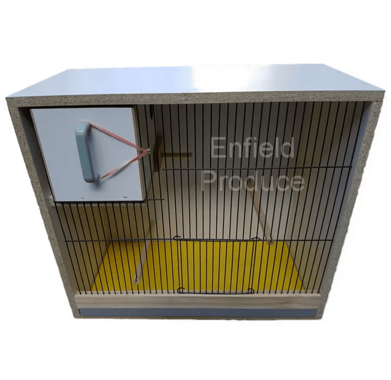 Breeding Cabinet for Budgies (Single Storey) (DB) (SYDNEY ONLY) - Bird ...